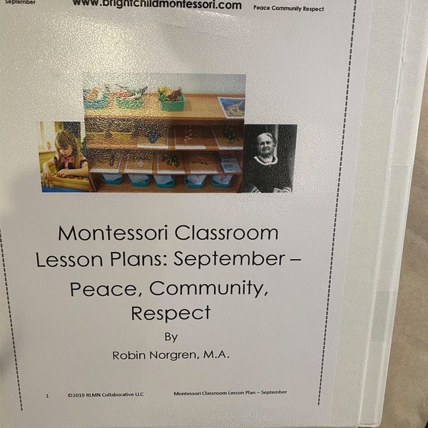 30 Preschool Art Lessons Bundle Famous Artists Art and Learning EASY ...