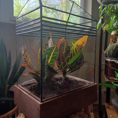 Gazebo Terrarium - Etsy