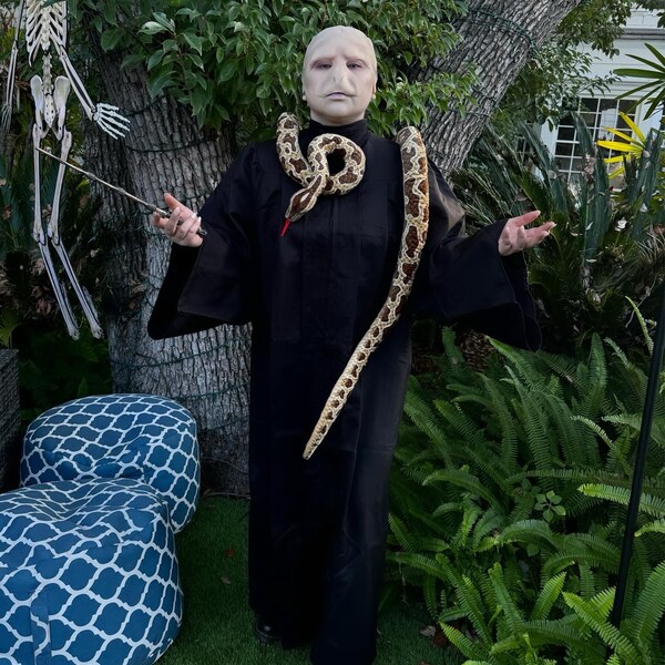 Dickhead Costume Penis Hat Best Christmas Present - Etsy