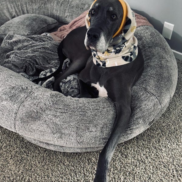 Raccons on Bikes Snood for Dogs, Great Dane/big Dog Snood, Bicycle ...