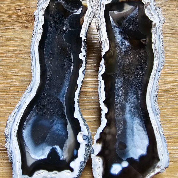 Agatized Fossil Coral Geode Pair Rare Color Large Cut & Polished - Etsy