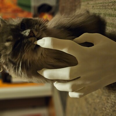 Phasmophobia Hand - Etsy