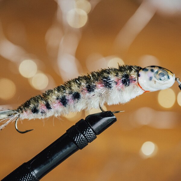 20 Baby Rainbow Trout Flies -- Articulated Fly Fishing or Spin Rod ...