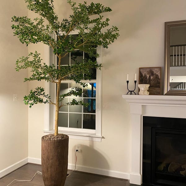 Faux Black Olive Tree, Shady Lady Tree, Black Olive Tree, Olive Tree - Etsy