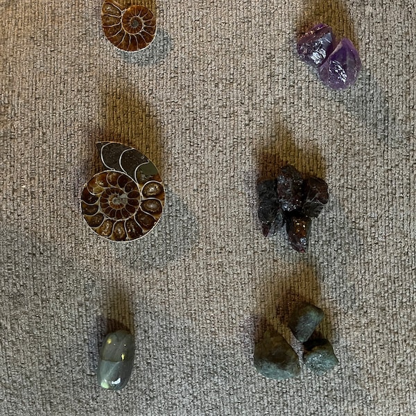 Natural Brown Ammonite Gemstone: Bulk Crystal Pendants, DIY Jewelry ...
