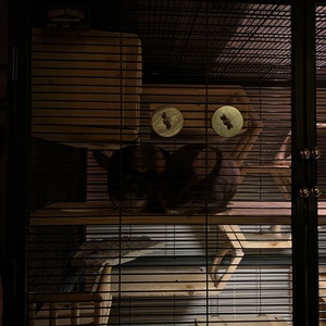 Full Length Cage Ledges for Full Cheeks Chew Proof City Loft Cage Kiln ...