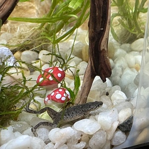 Ceramic Tree Replacement Lights Heart Bulbs Lights Valentine Fits ...