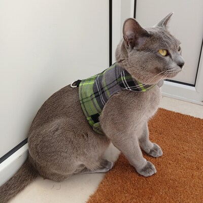 HARRIS TWEED Limited Edition Ready Made Cat Harness / Walking Jacket by ...