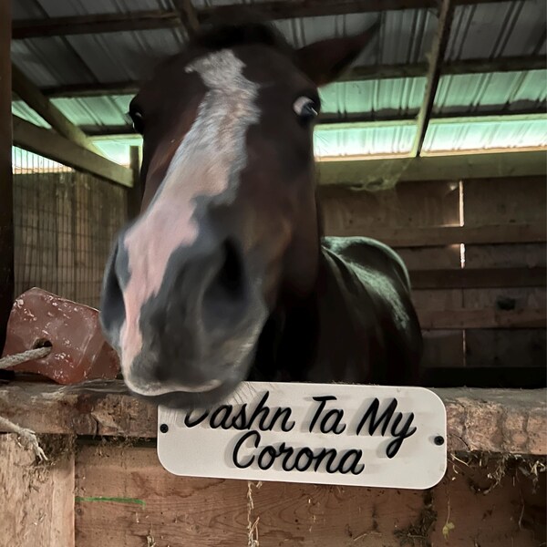 Stable Sign | Acrylic Stall Name Plate | Horse Door Sign - Etsy