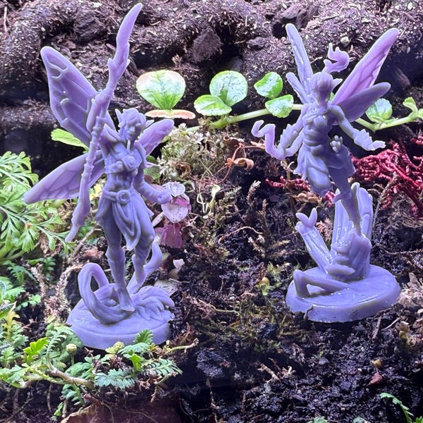 Dnd Fairies Miniatures Bundle, D&D Dungeon Quest Set Dungeons and ...