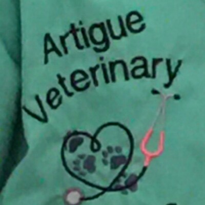 Animal Doctor Machine Embroidery Design, Veterinarian Embroidery ...