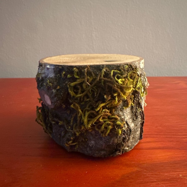 Mini Mountain Urn, Enchanted Forest Urn, Sharing Urn, Honoring the Lost ...
