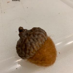 Teeny Tiny Acorn Buds, Natural Plant Product, Crafting Supply, Fairy ...