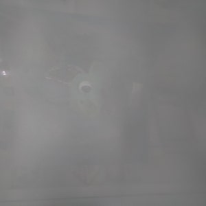 Skull Dog Reference Sheet - Etsy