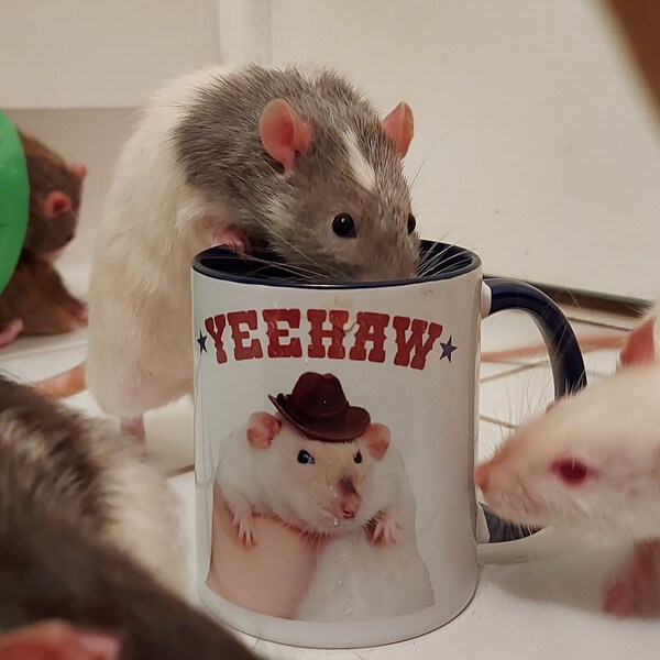Yeehaw Cowboy Rat Meme 11oz Coffee Mug | Pet Rat Gifts | Rat Mom | Rat ...