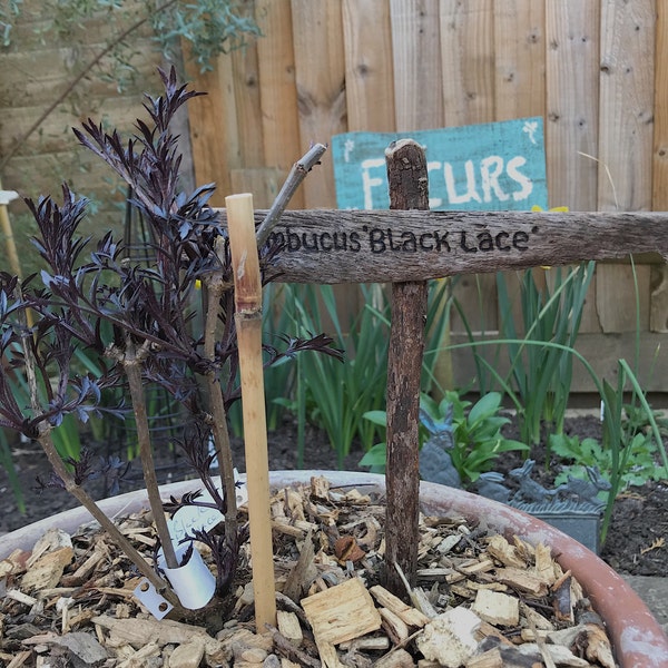 Custom Driftwood Herb Garden Markers: Pyrography Plant Labels - Etsy UK