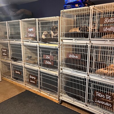 The Dog is Inside or Outside Reminder Sign Dog In/out Wooden Door ...