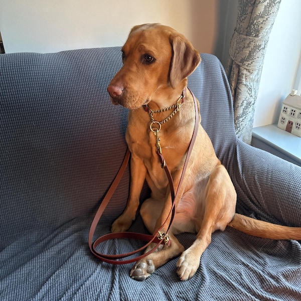 Stitched Leather House Collar - Thin Dog Collar - Tag Collar - ID Dog ...