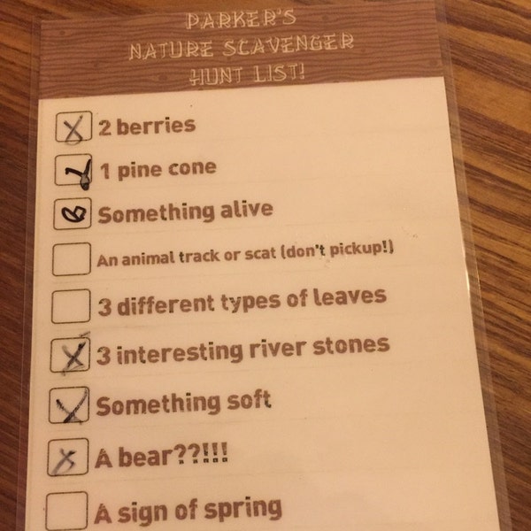 Camping Party Nature Scavenger Hunt List Template - Printable Campout ...