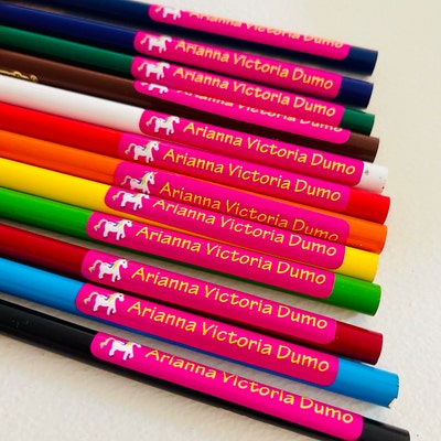 72 Skinny School Labels Great for School Supplies Long Skinny - Etsy