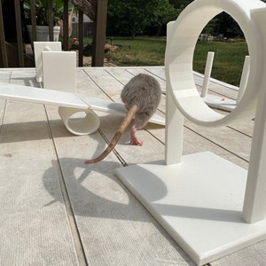 Mouse Climbing Rope - Etsy