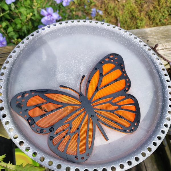 Monarch Butterfly Raising Kit- Butterfly Raising Kit, Milkweed Floral ...