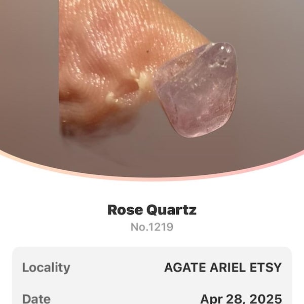 Agate Ariel Rock Bucket - Lake Superior Agates and Minnesota Minnerals ...