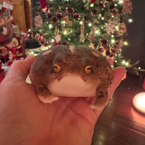 SQUISHY Desert Rain Frog. Cute Butt Frog Fidget Weirdcore Desk Toy for Stress Relief - Etsy
