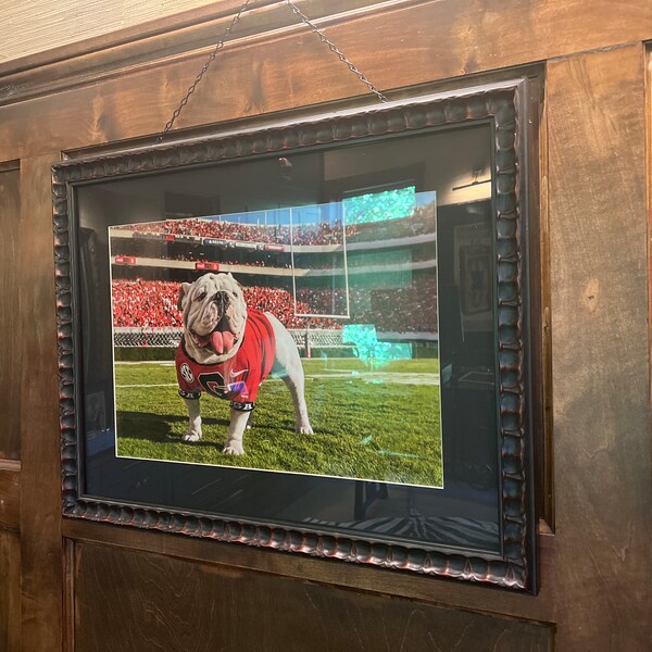 UGA: Georgia Bulldogs Uga X Mascot Photo Picture Print, Graduation Gift ...