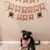 Happy Gotcha Day Bunting Banner Sign Dog Cat Rescue Birthday Day ...