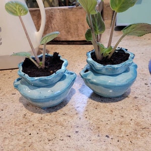 AFRICAN Violet Pot MICRO Mini Self Watering Planter/pot Sold in Pairs ...