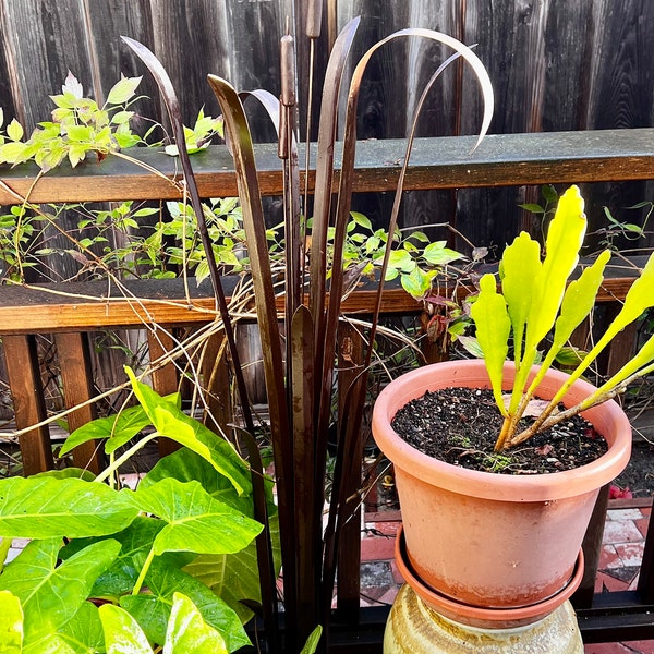 Large Black Wire Body Form Jewelry Display Great for Earrings and More ...