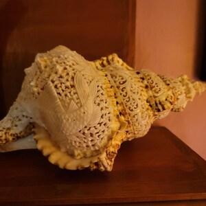 Hand Carved Pearl Mussel Clam Shell XL Size,hummingbird Theme,real and ...