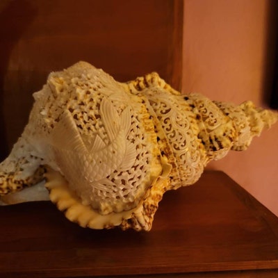 Hand Carved Pearl Mussel Clam Shell XL Size,hummingbird Theme,real and ...