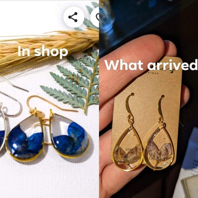 Pressed Flower Texas Wall Art, Original Texas Art, Pressed Flower Decor ...