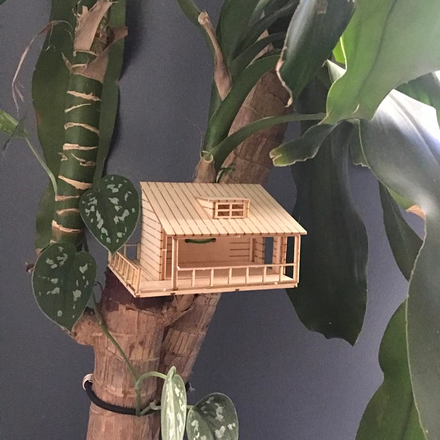 Amazing Houses for your plant by AmazingPlantHouse on Etsy