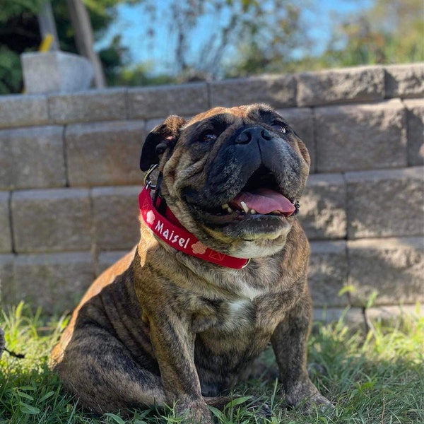 Dog Leash Tag Dog ID Tag Dog Leash Holder Pet Leash Holder Personalized ...