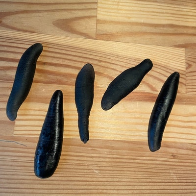 Larp Safe Rubber Leeches, Larp Medic, 5 Pack, Leach Healer, Plague ...