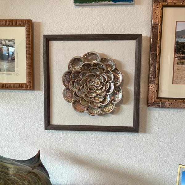 Red Abalone Art, Shell Wall Art, 3D Shell Art, Coastal Shell Art ...