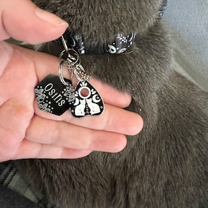 Checkered Cat Collar Black and White Checks Safety - Etsy