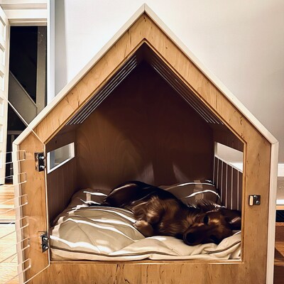 Modern Dog and Cat House With Acrylic Door Petso. Dog Bed, Cat Bed, Dog ...