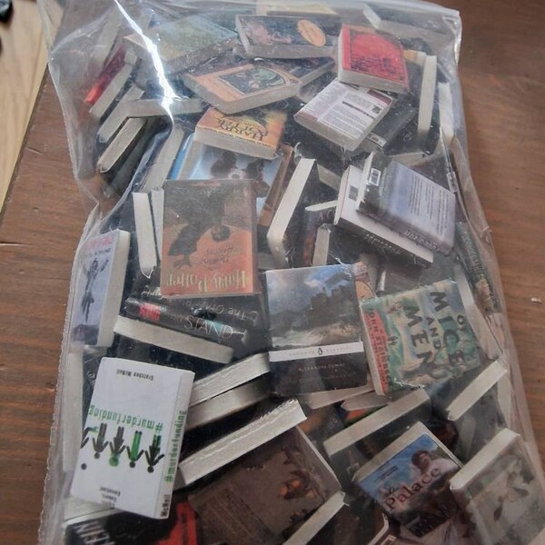 200 Mini Books, Bestseller Series, Miniature Playhouses, Book Lover ...
