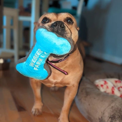 Dog Feeding Reminder Whiteboard Has the Dog Been Fed Pet - Etsy