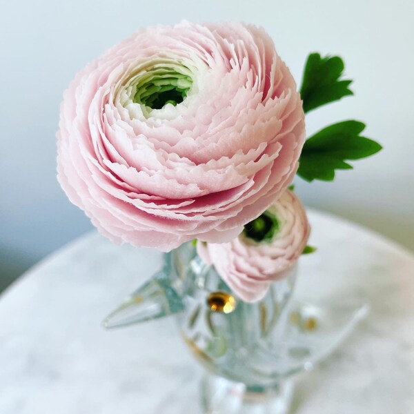 Snowdrop, Cold Porcelain Flowers, Real Touch Flowers, Artificial ...