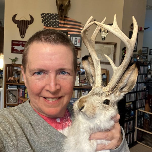 JACKALOPE TAXIDERMY Mount (real Jackrabbit/real Deer Antlers) Unique 8 ...