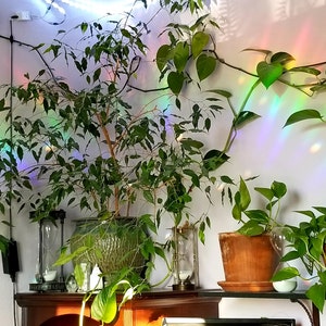 Crystal Corner Suncatcher // Window Decal // Prism Sticker // - Etsy