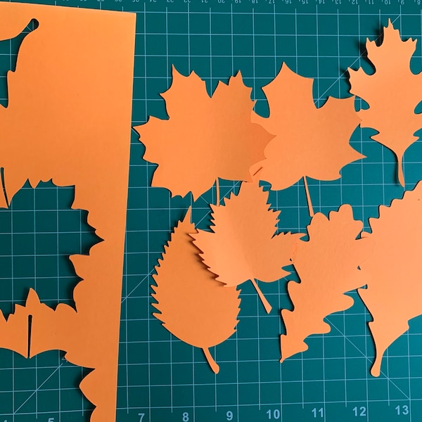 Fall Leaves Svg, Fall Svg, Fall Leaf Svg Bundle, Fall Png, Dxf, Clipart ...