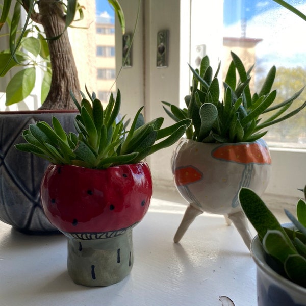 The Cool Shrooms Collection - Handmade Ceramic, Hanging Planter ...