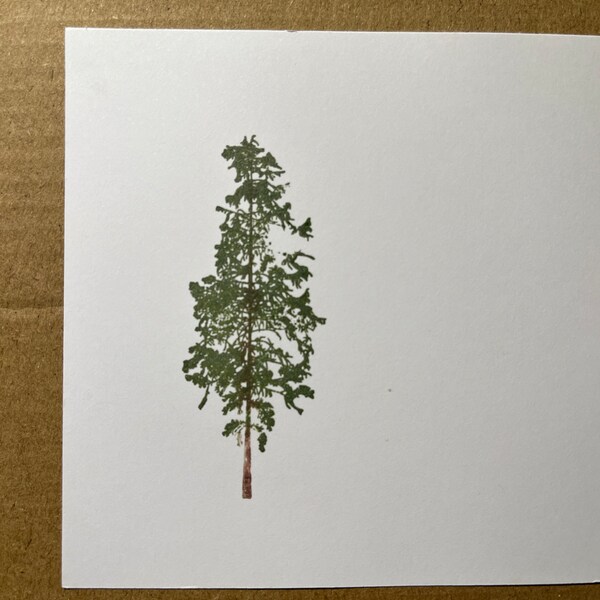 Tree Stamp, Trees Clear Transparent Stamp, Tree Silhouette Rubber Stamp ...