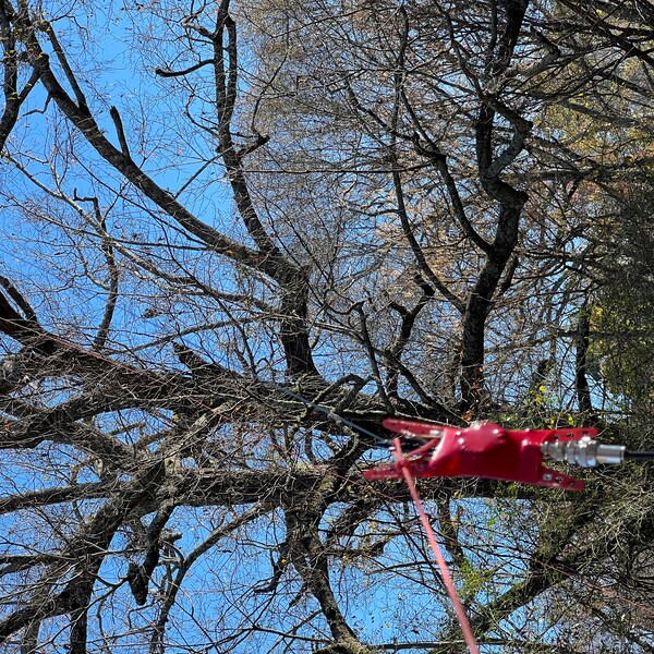 Mast Maestro Vertical/hamstick Dipole Mount - Etsy